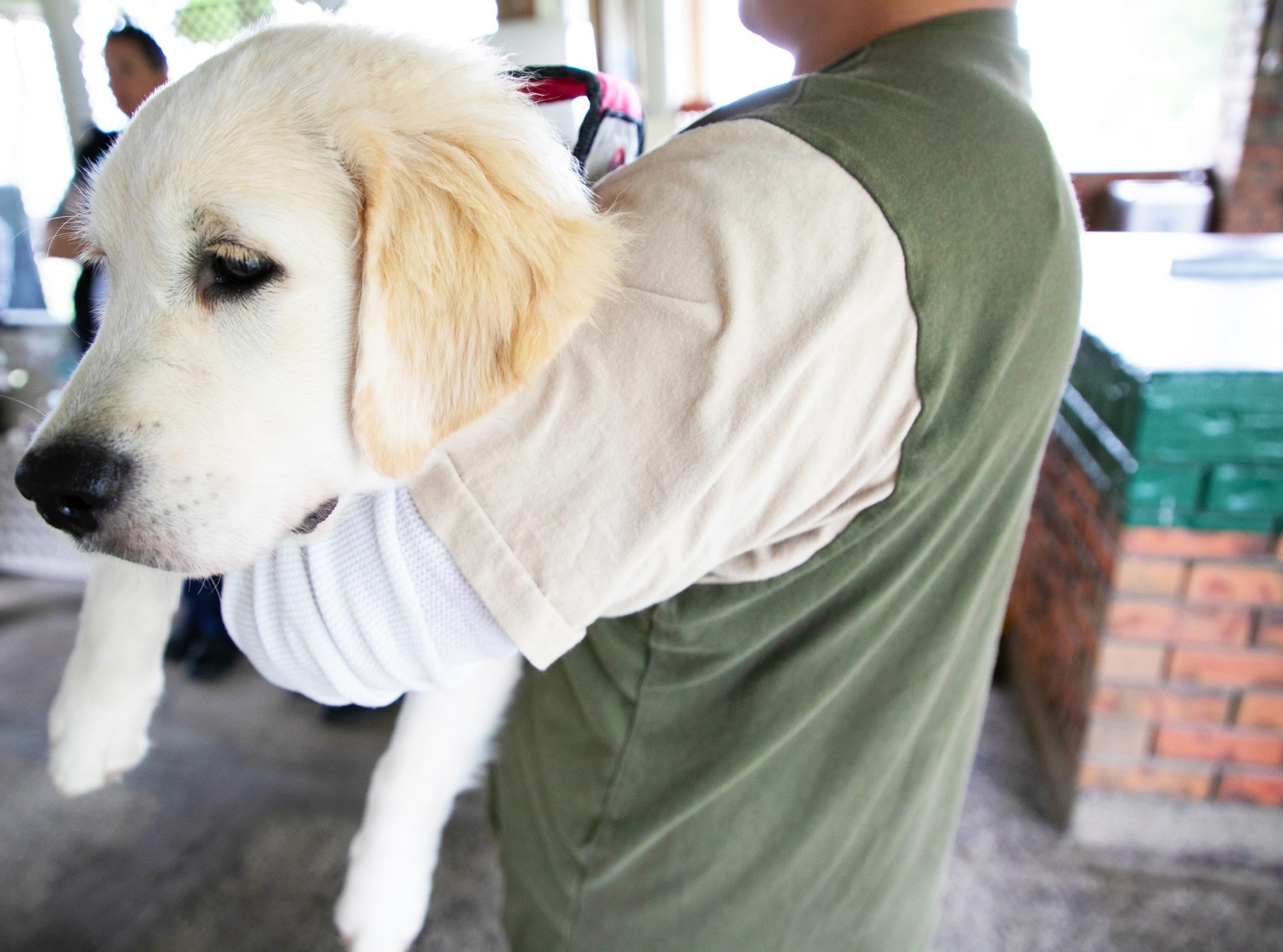 Prisoners help more children with disability with Smart Pups
