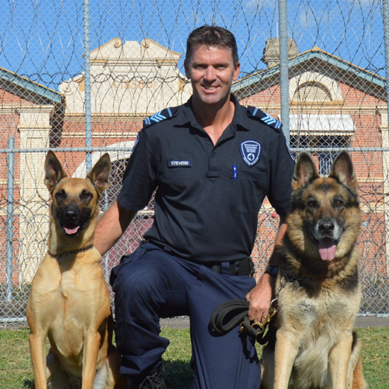 Borallon prison carpark operation nets drugs and weapons | Queensland ...