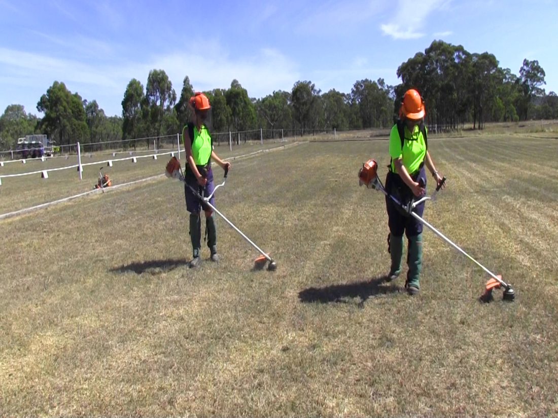 Low security and its role in community safety