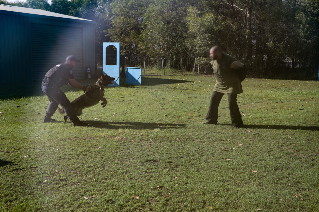New virtual experience - take a look inside Maryborough Correctional Centre | Queensland ...